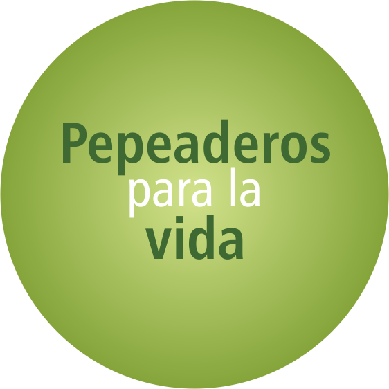 Apóyanos y dona | Pepeaderos para la vida – Seeds of life | – Fundación ...
