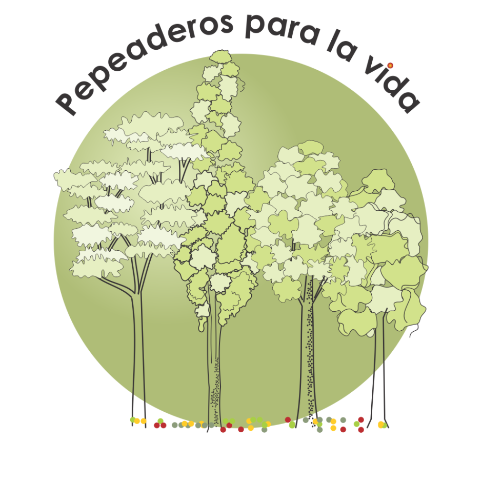 Fundación Omacha – Fundación Omacha