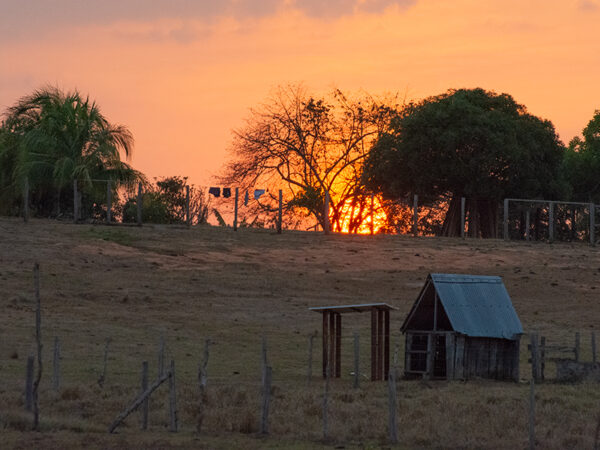 La Fundación Omacha fue registrada como una Organización Articuladora ...